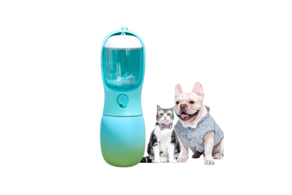 What Is Pet Water Bottle: Everything You Need to Know